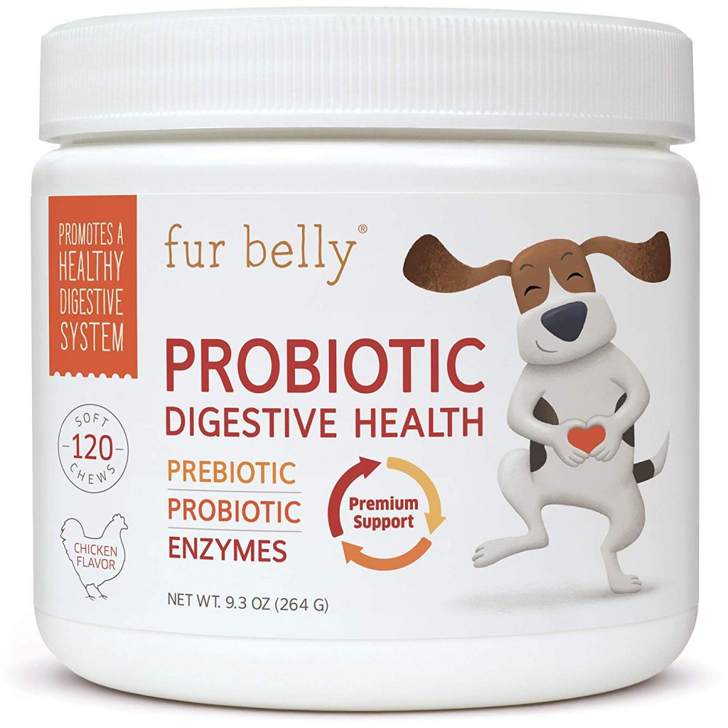 4 All Natural Probiotics for Dogs we Love - The Pets Digest