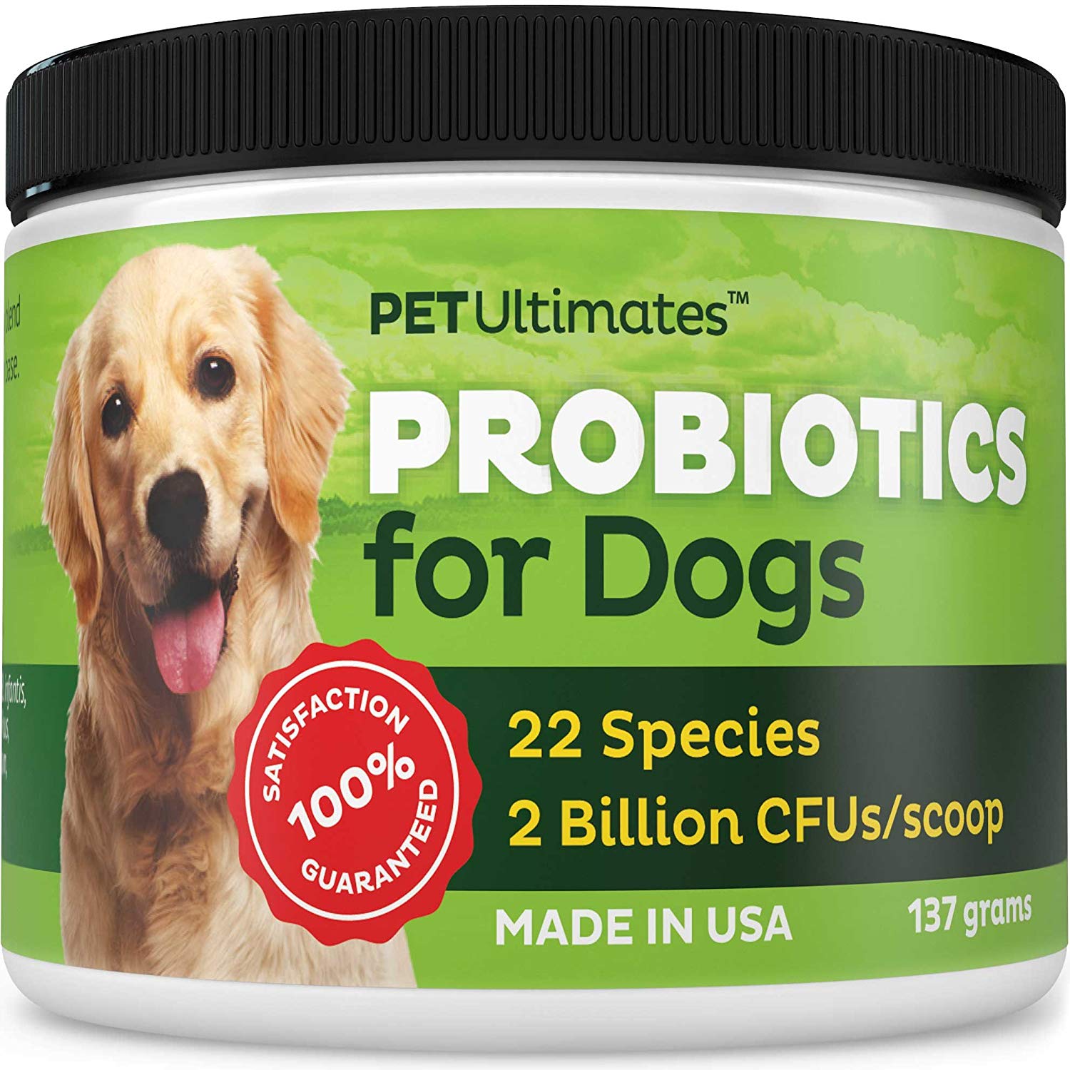 4 All Natural Probiotics for Dogs we Love - The Pets Digest