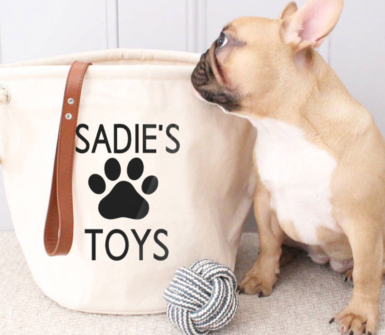 20 Unusual and Unique gifts for dog lovers - The Pets Digest