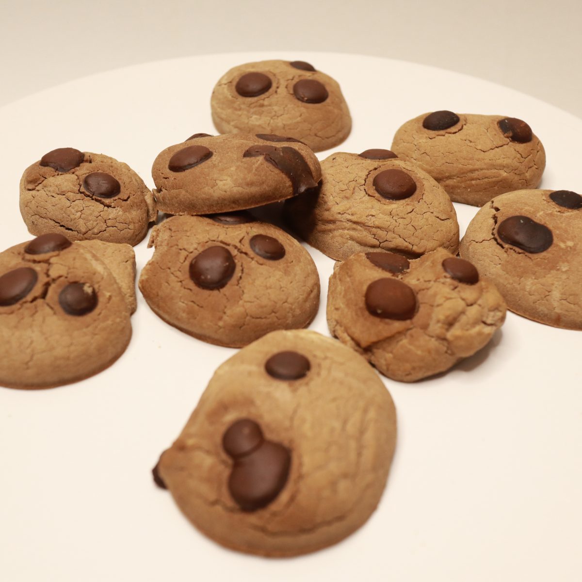 Chocolish Chip Dog Cookies - The Pets Digest