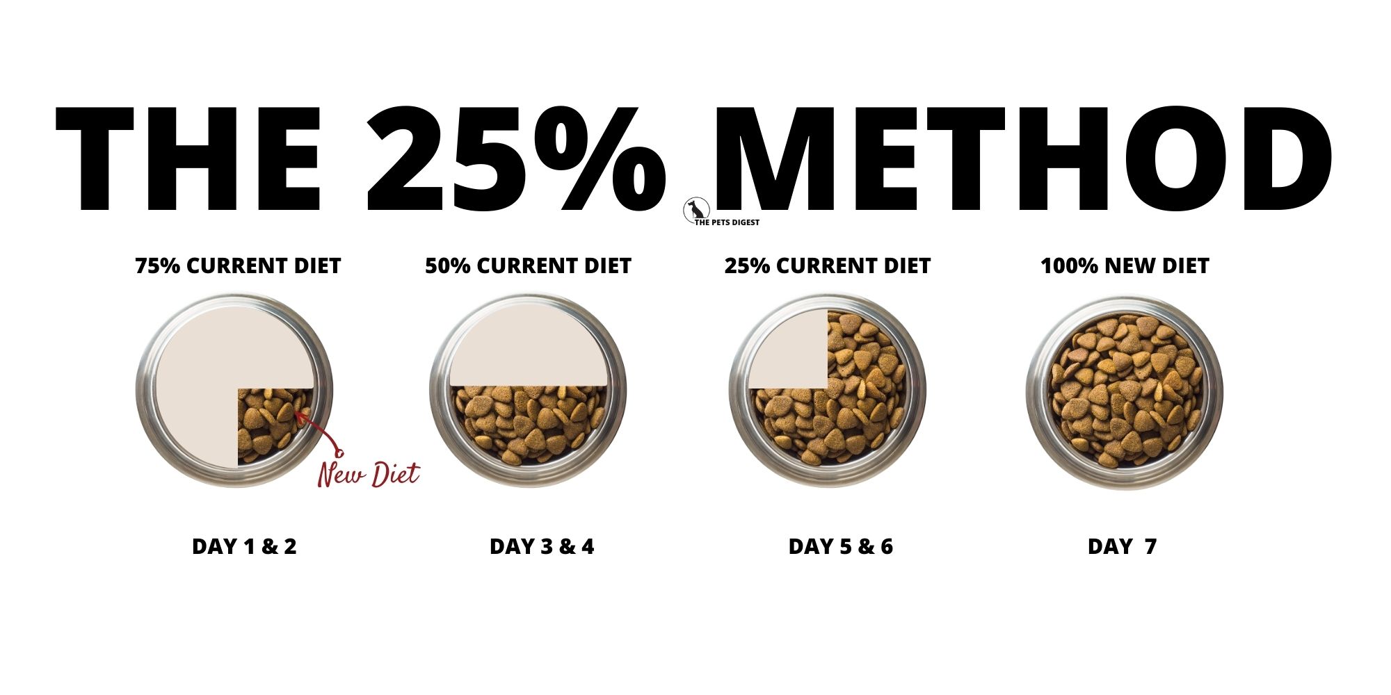 Is your dogs food causing mucus? - The Pets Digest