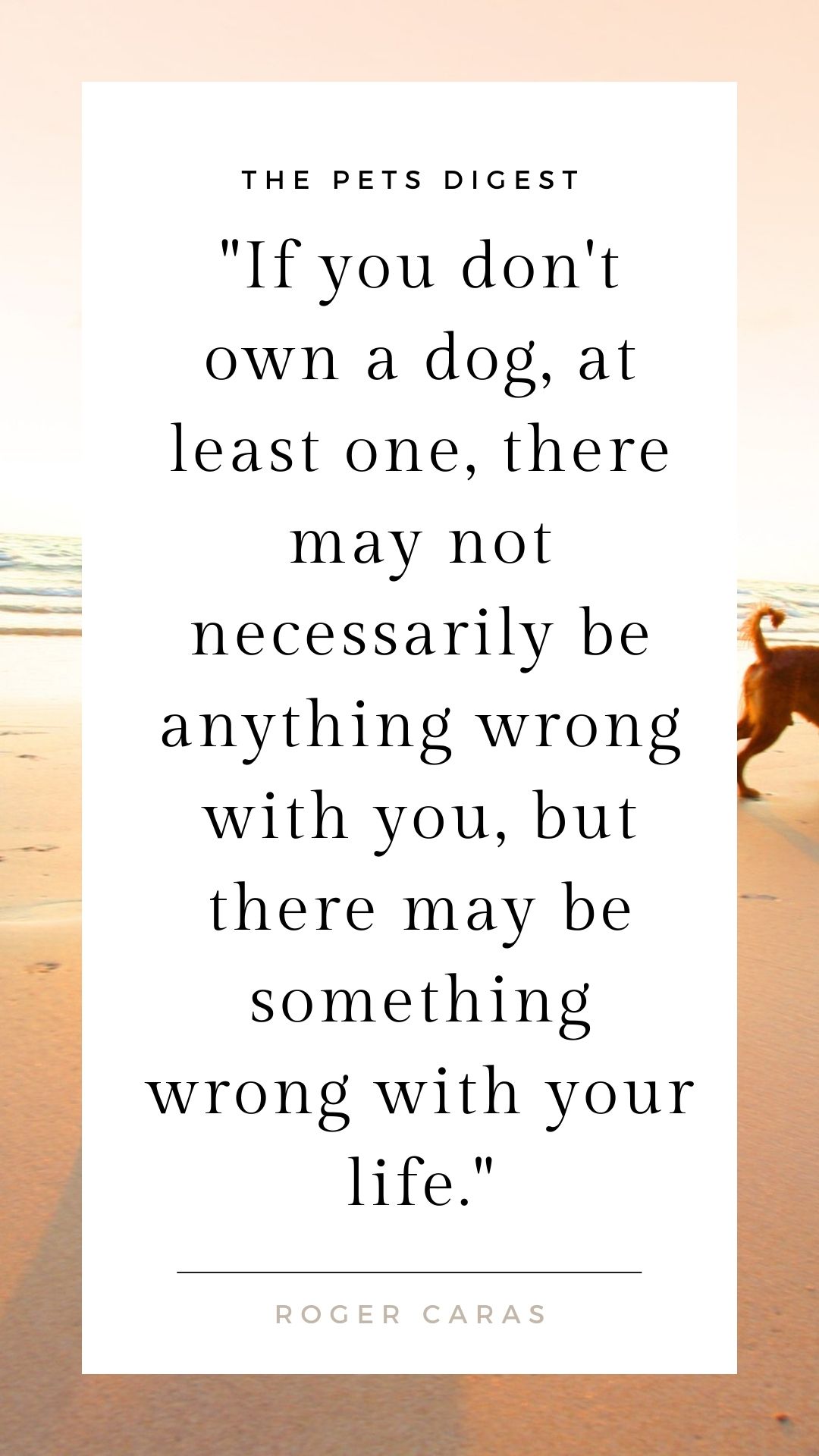 20 of the best dogs quotes | best quotes about dogs