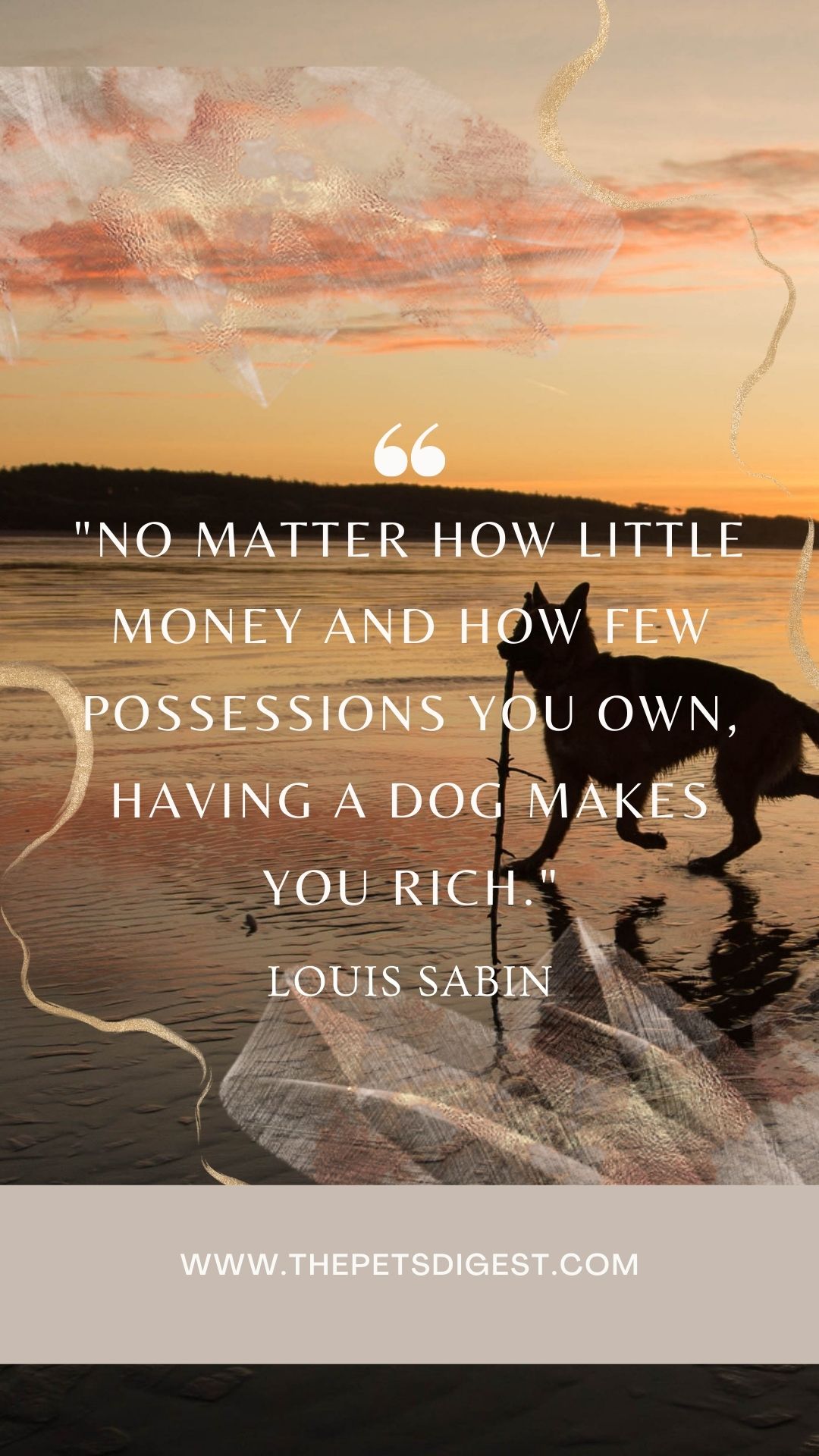 20 of the best dogs quotes | best quotes about dogs