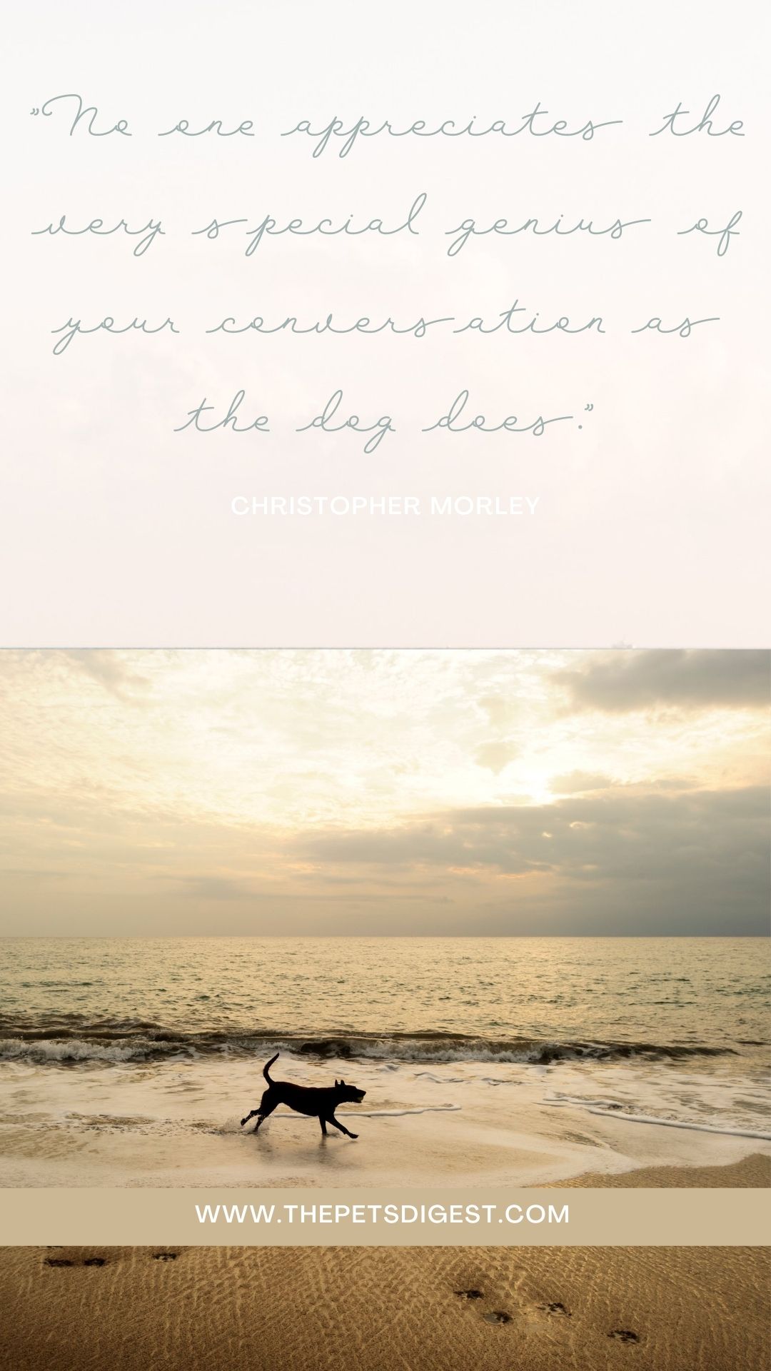 20 of the best dogs quotes | best quotes about dogs