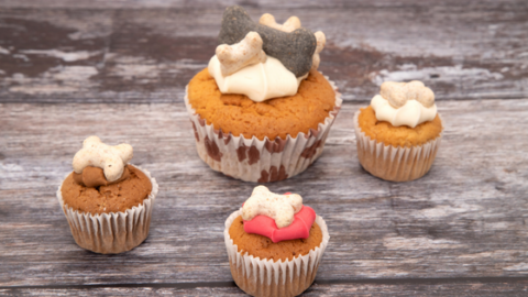 The 5 best and safest flours for making dog treat recipes - The Pets Digest