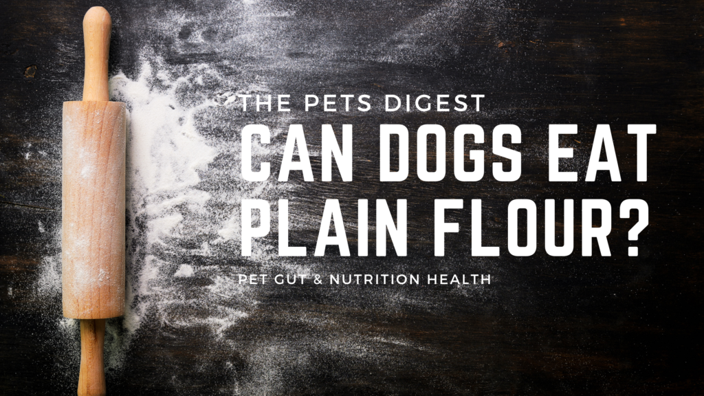 Is plain all-purpose flour safe for dogs? - The Pets Digest